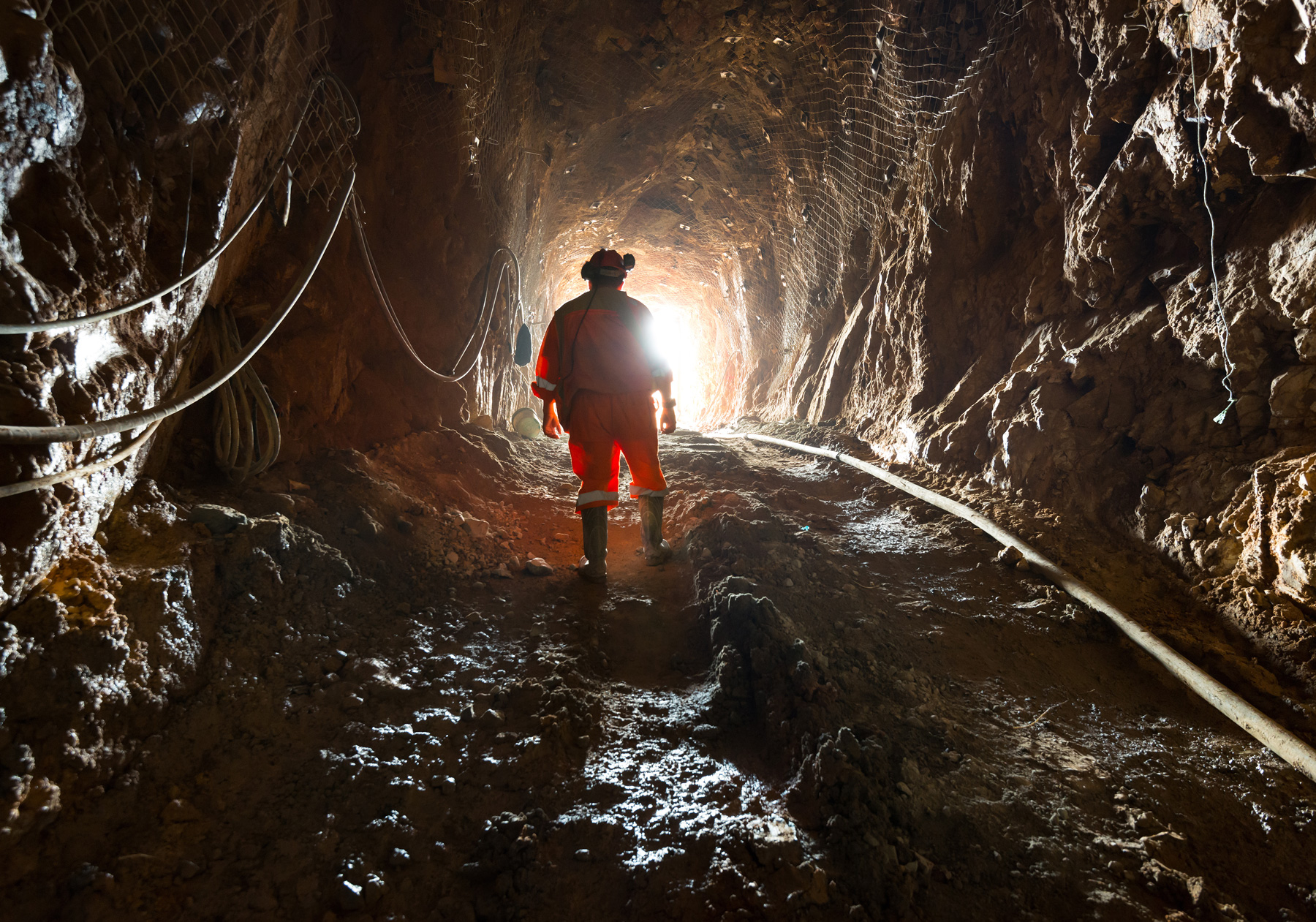 The Green Gold Rush - Institute for Financial Integrity